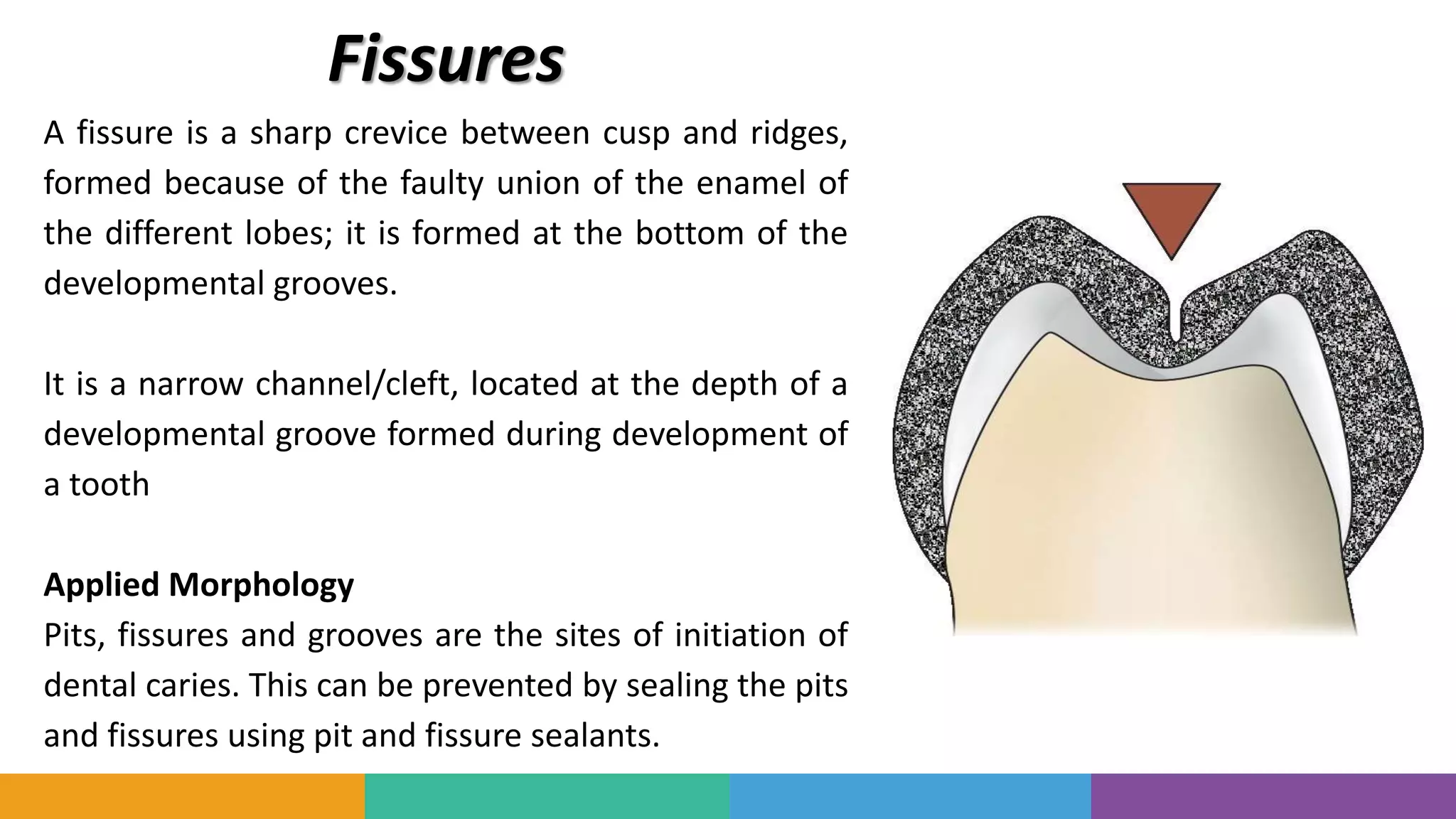 Anatomical Landmarks of tooth.pptx