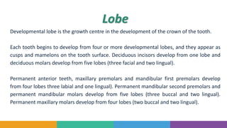 Anatomical Landmarks of tooth.pptx