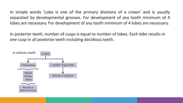 Anatomical Landmarks of tooth.pptx | Dental Health | Diseases and ...