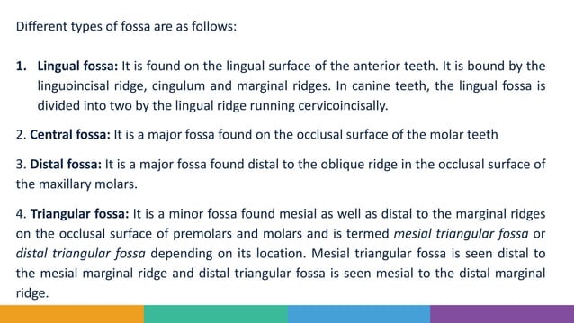 Anatomical Landmarks of tooth.pptx | Dental Health | Diseases and ...