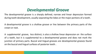 Anatomical Landmarks of tooth.pptx