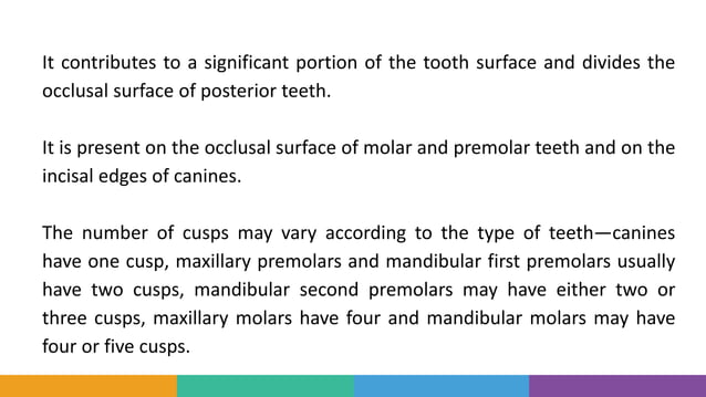 Anatomical Landmarks of tooth.pptx | Dental Health | Diseases and ...