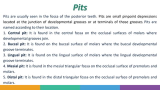 Anatomical Landmarks of tooth.pptx