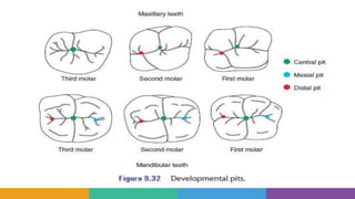 Anatomical Landmarks of tooth.pptx