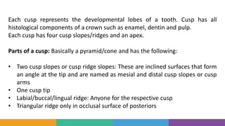 Anatomical Landmarks of tooth.pptx