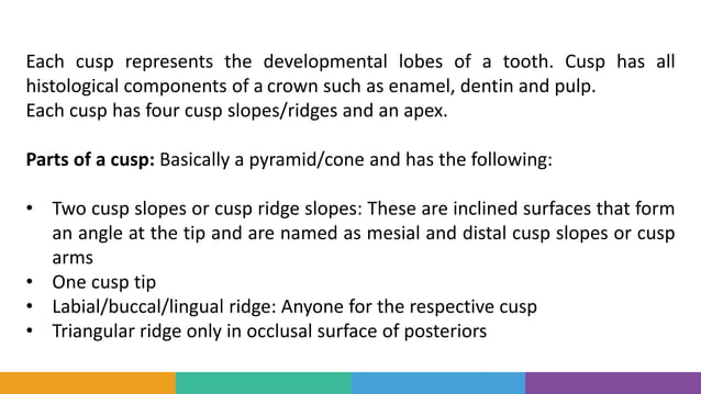 Anatomical Landmarks of tooth.pptx | Dental Health | Diseases and ...