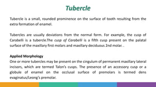 Anatomical Landmarks of tooth.pptx