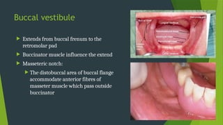 anatomical landmarks dentsl pedagogy.pptx