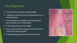 anatomical landmarks dentsl pedagogy.pptx