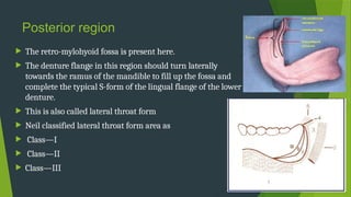 anatomical landmarks dentsl pedagogy.pptx