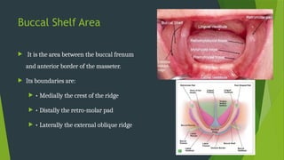 anatomical landmarks dentsl pedagogy.pptx