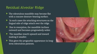 anatomical landmarks dentsl pedagogy.pptx
