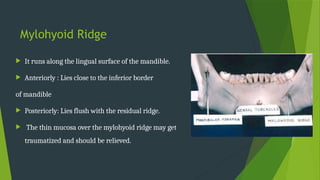 anatomical landmarks dentsl pedagogy.pptx