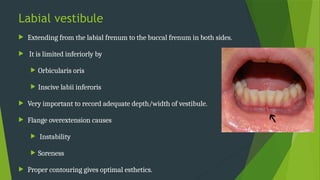 anatomical landmarks dentsl pedagogy.pptx