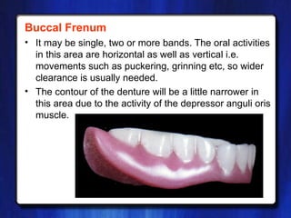ANATOMICAL LANDMARKS RELATED TO COMPLETE DENTURES1.ppt