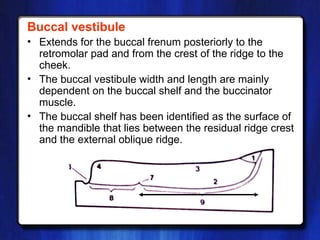ANATOMICAL LANDMARKS RELATED TO COMPLETE DENTURES1.ppt