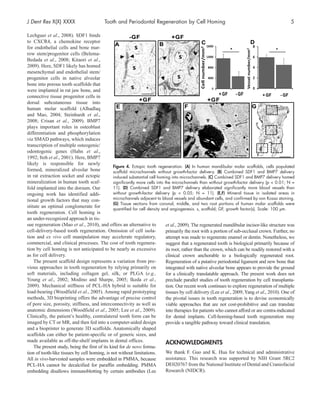 Anatomically shaped tooth and periodontal regeneration by cell homing | PDF