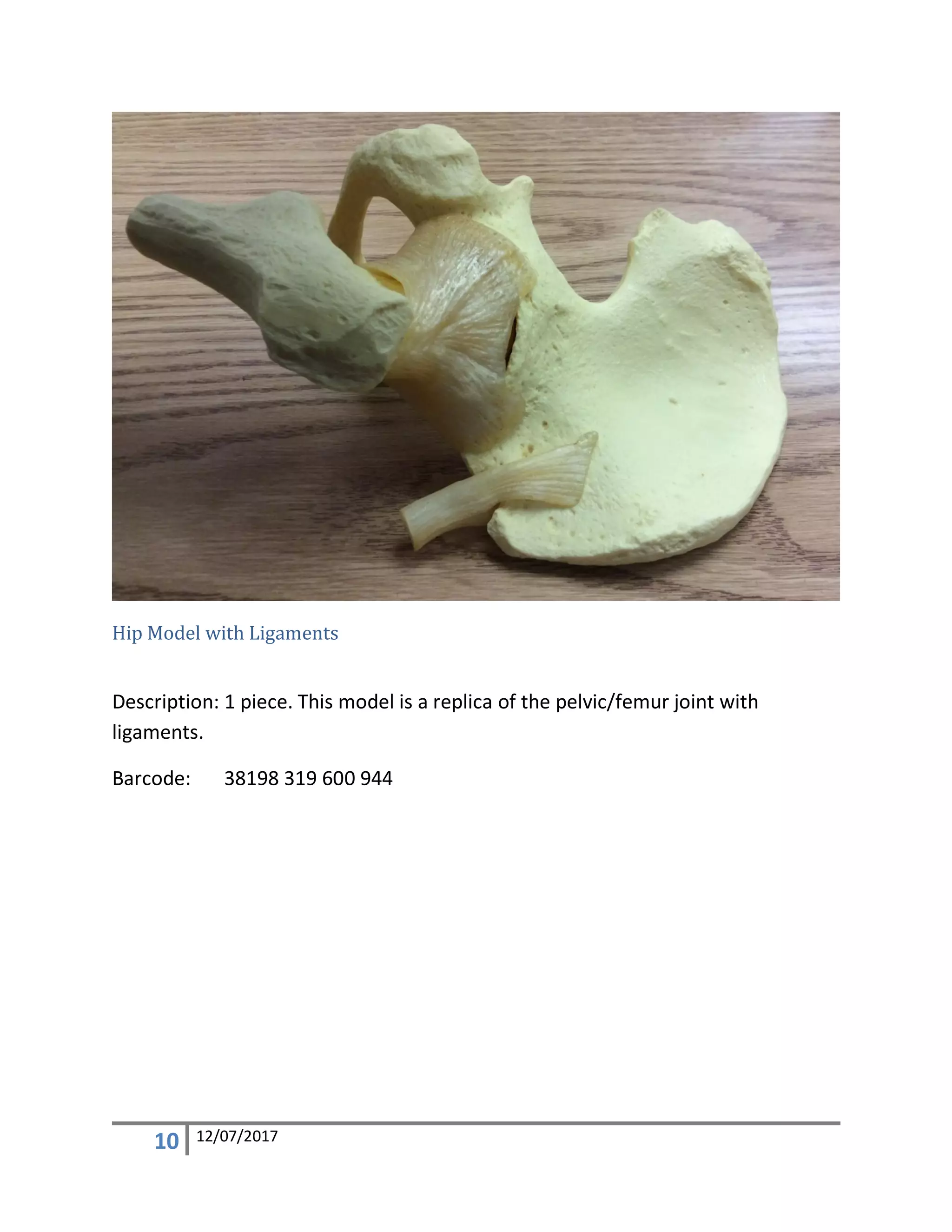 LHSP Anatomical Models Catalog v.6 | PDF