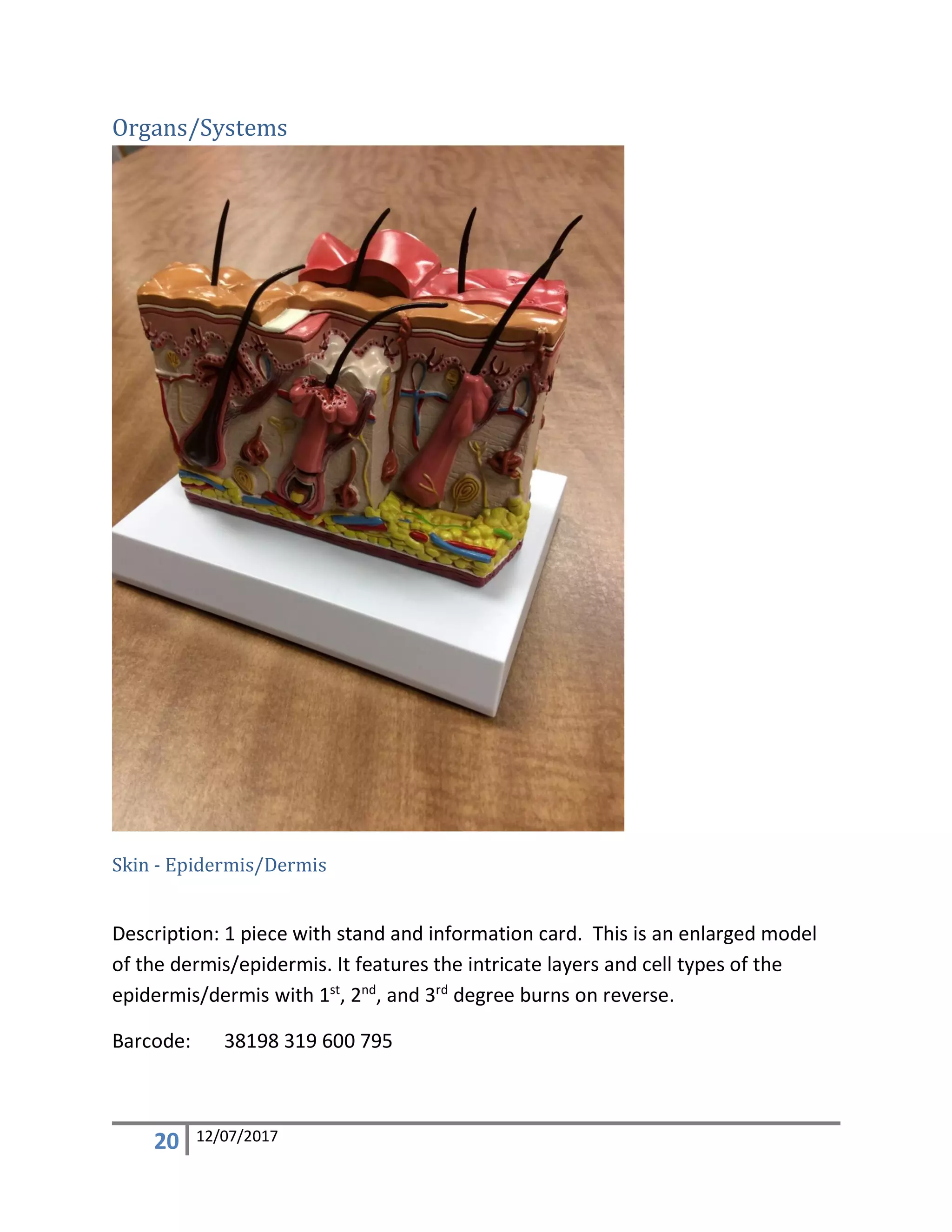 LHSP Anatomical Models Catalog v.6 | PDF