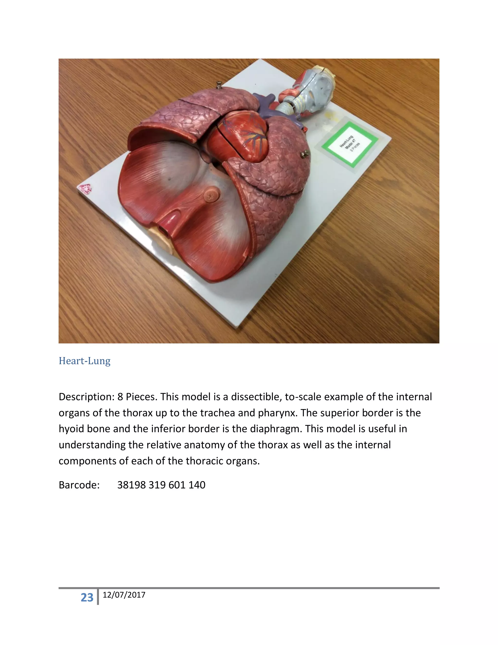 LHSP Anatomical Models Catalog v.6 | PDF