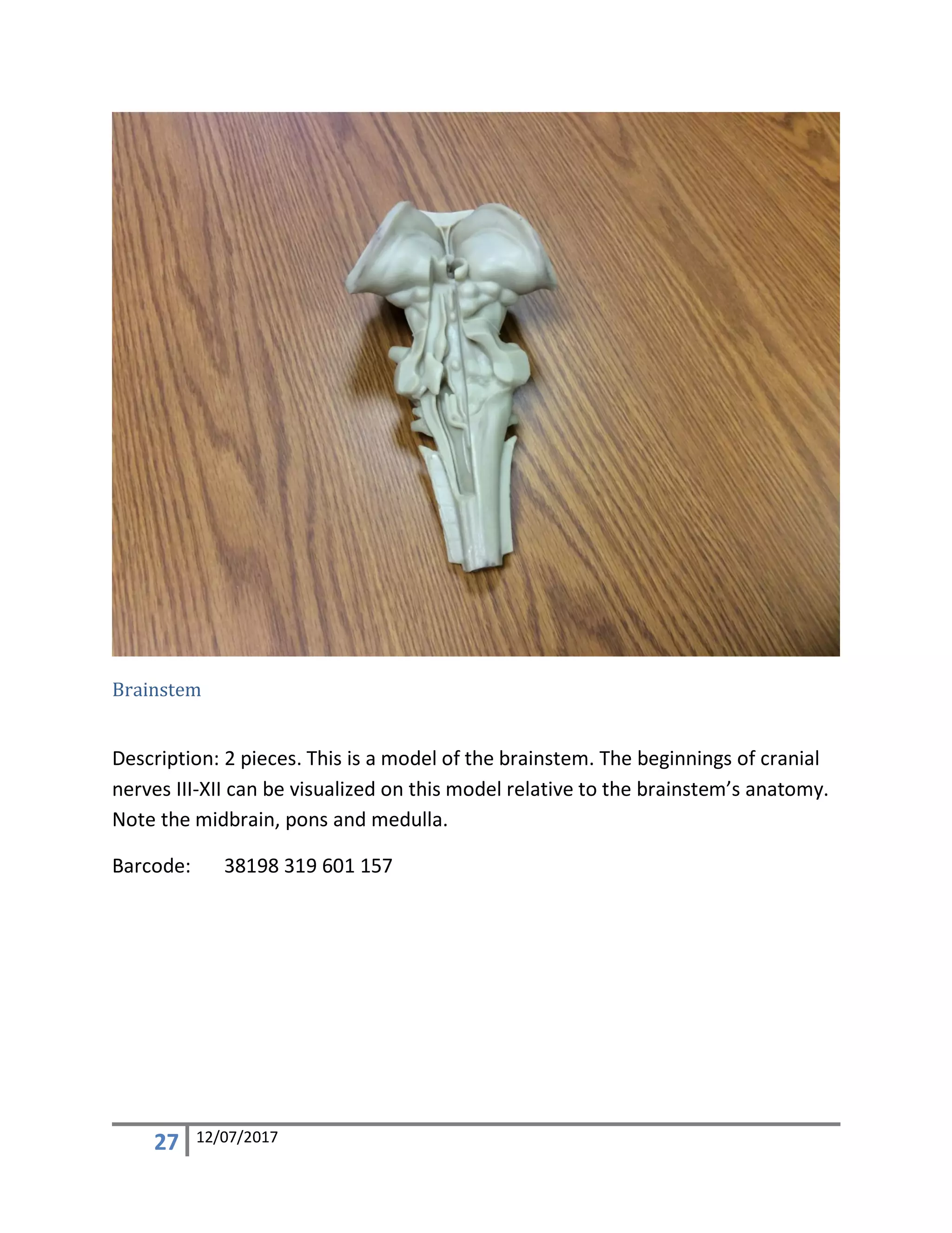LHSP Anatomical Models Catalog v.6 | PDF