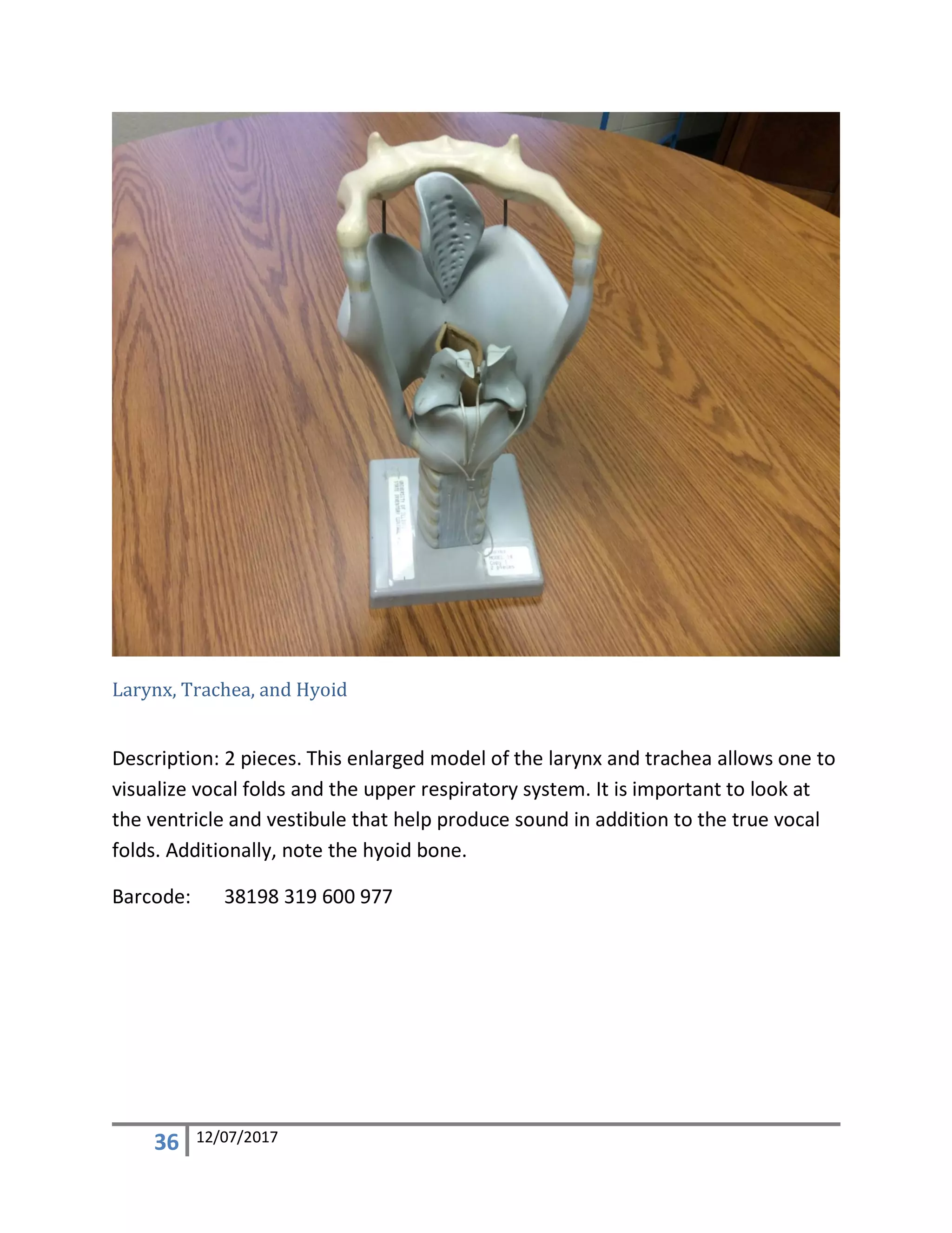 LHSP Anatomical Models Catalog v.6 | PDF