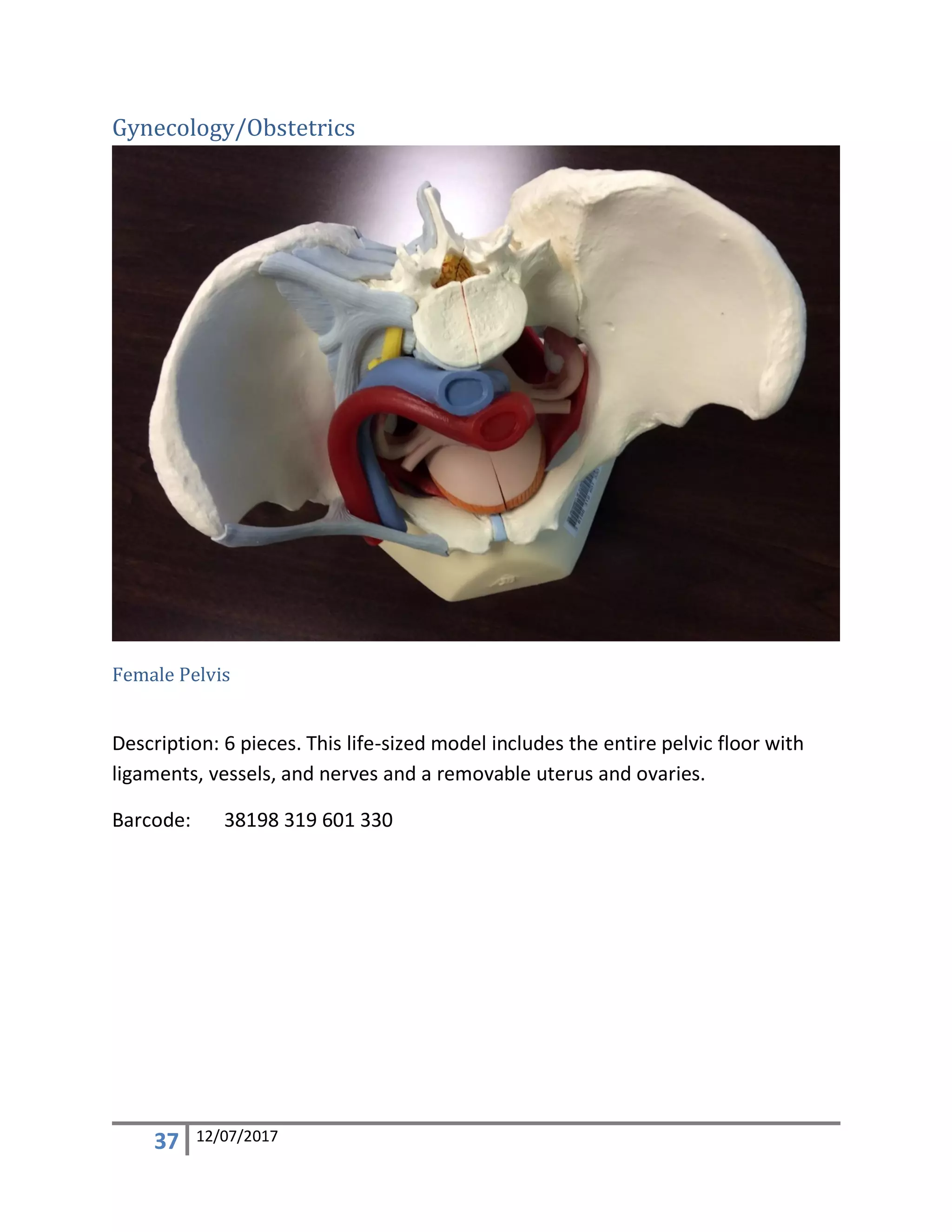 LHSP Anatomical Models Catalog v.6 | PDF