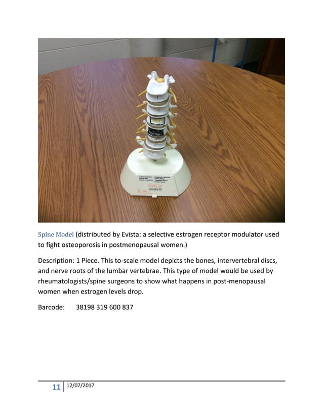 LHSP Anatomical Models Catalog v.6 | PDF