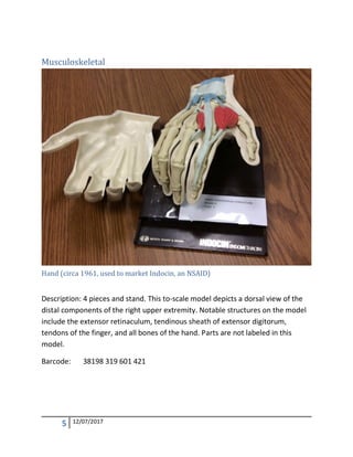 LHSP Anatomical Models Catalog v.6 | PDF