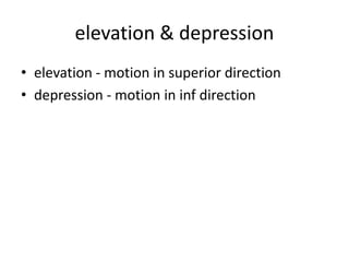Anatomical motions | PPTX