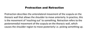 Anatomical movement - terms & medical information | PPTX
