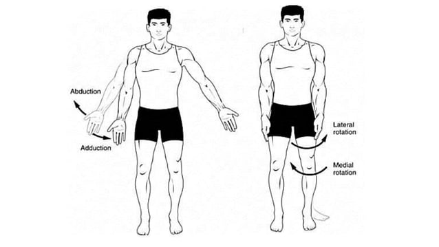 Anatomical movement - terms & medical information | PPT