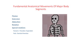 anatomical mvts of human body need to take care during exercise | PPTX