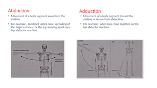 anatomical mvts of human body need to take care during exercise | PPT