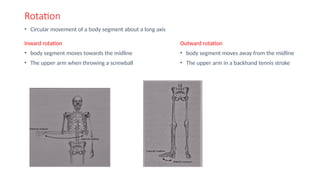 anatomical mvts of human body need to take care during exercise | PPT