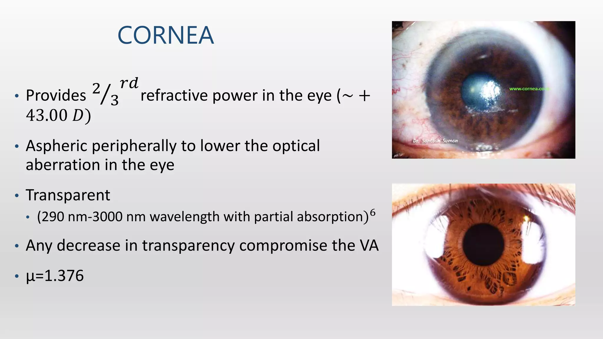 Anatomical & physiological basis of visual acuity | PPTX