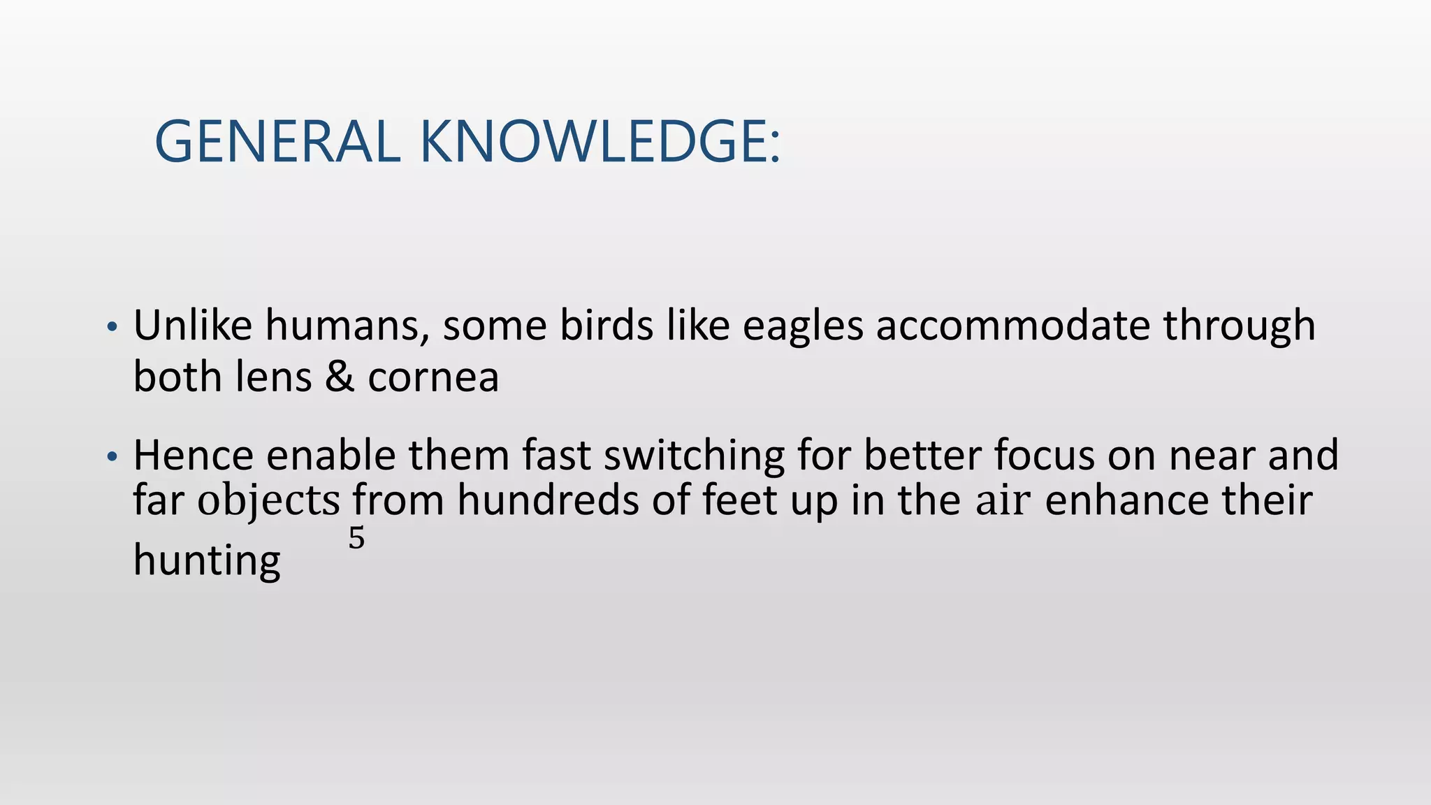 Anatomical & physiological basis of visual acuity | PPTX