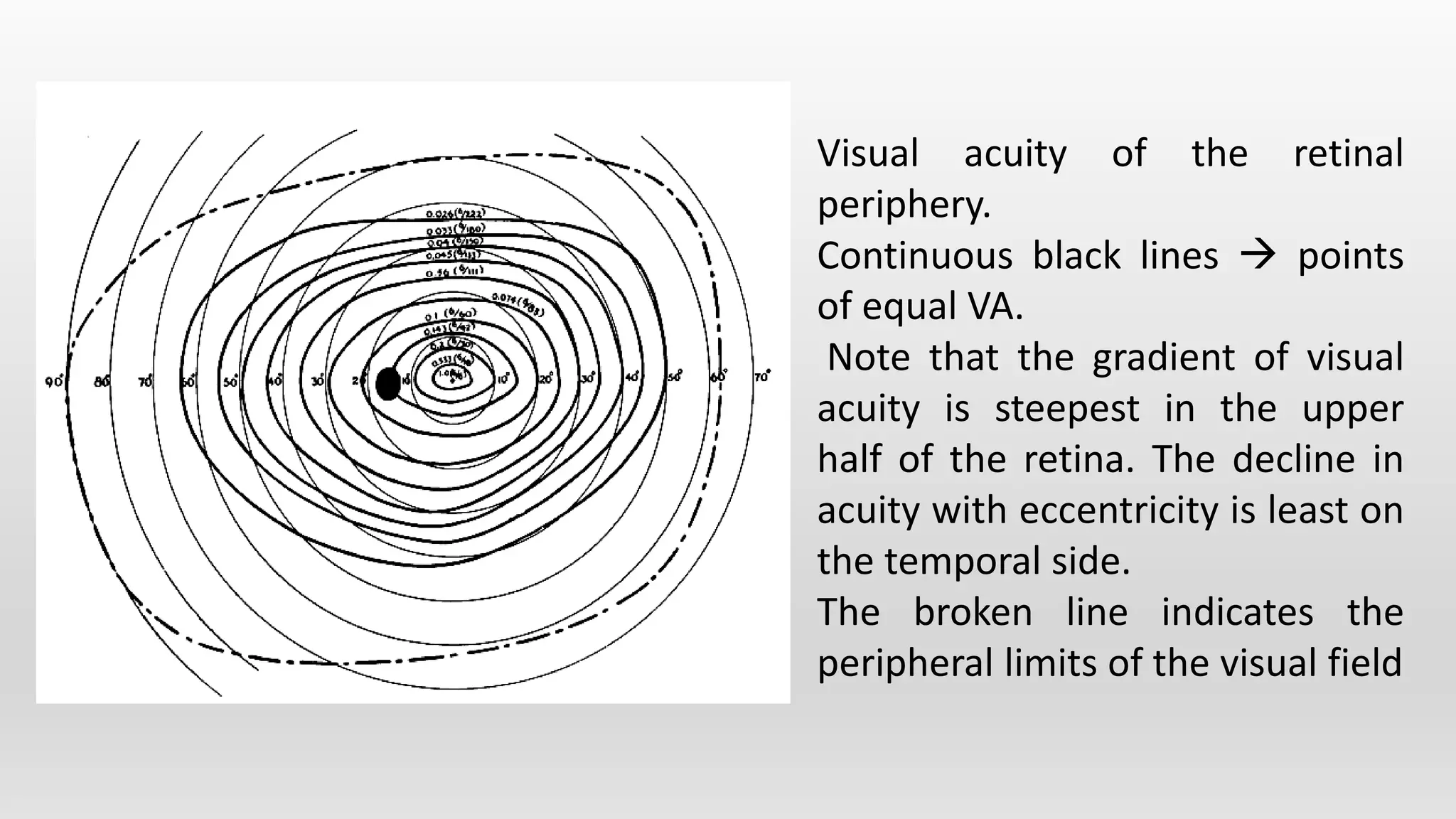 Anatomical & physiological basis of visual acuity | PPTX
