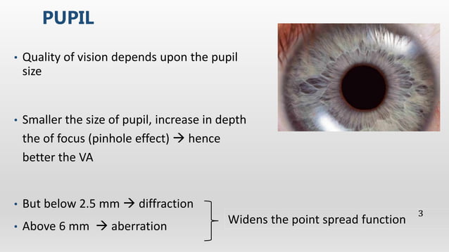 Anatomical & physiological basis of visual acuity | PPTX