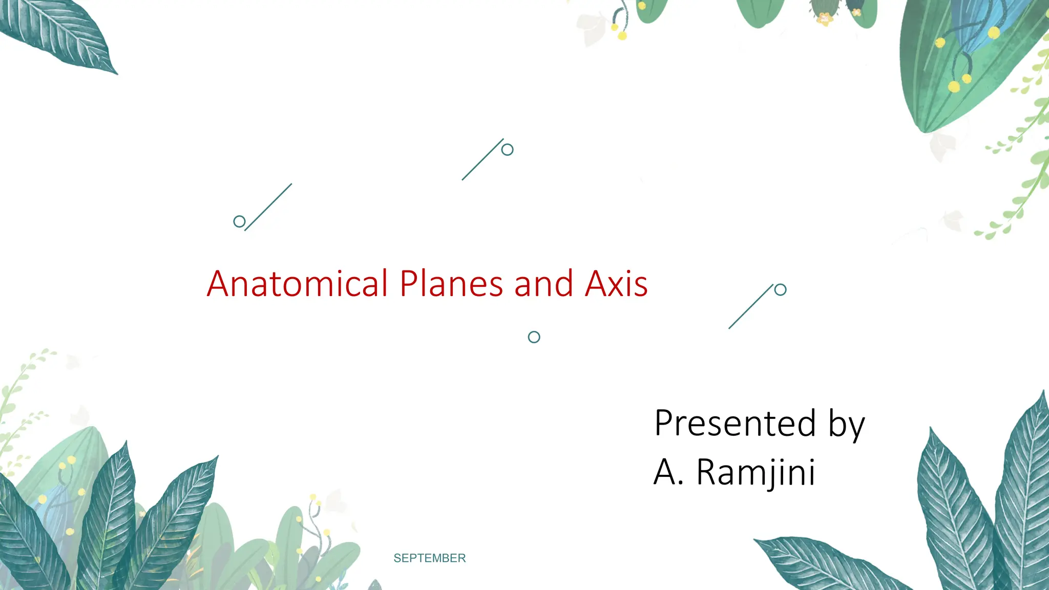anatomical planes and axis-1.pptxf6f7g7g6g7g | PPTX