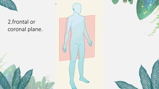anatomical planes and axis-1.pptxf6f7g7g6g7g | PPTX