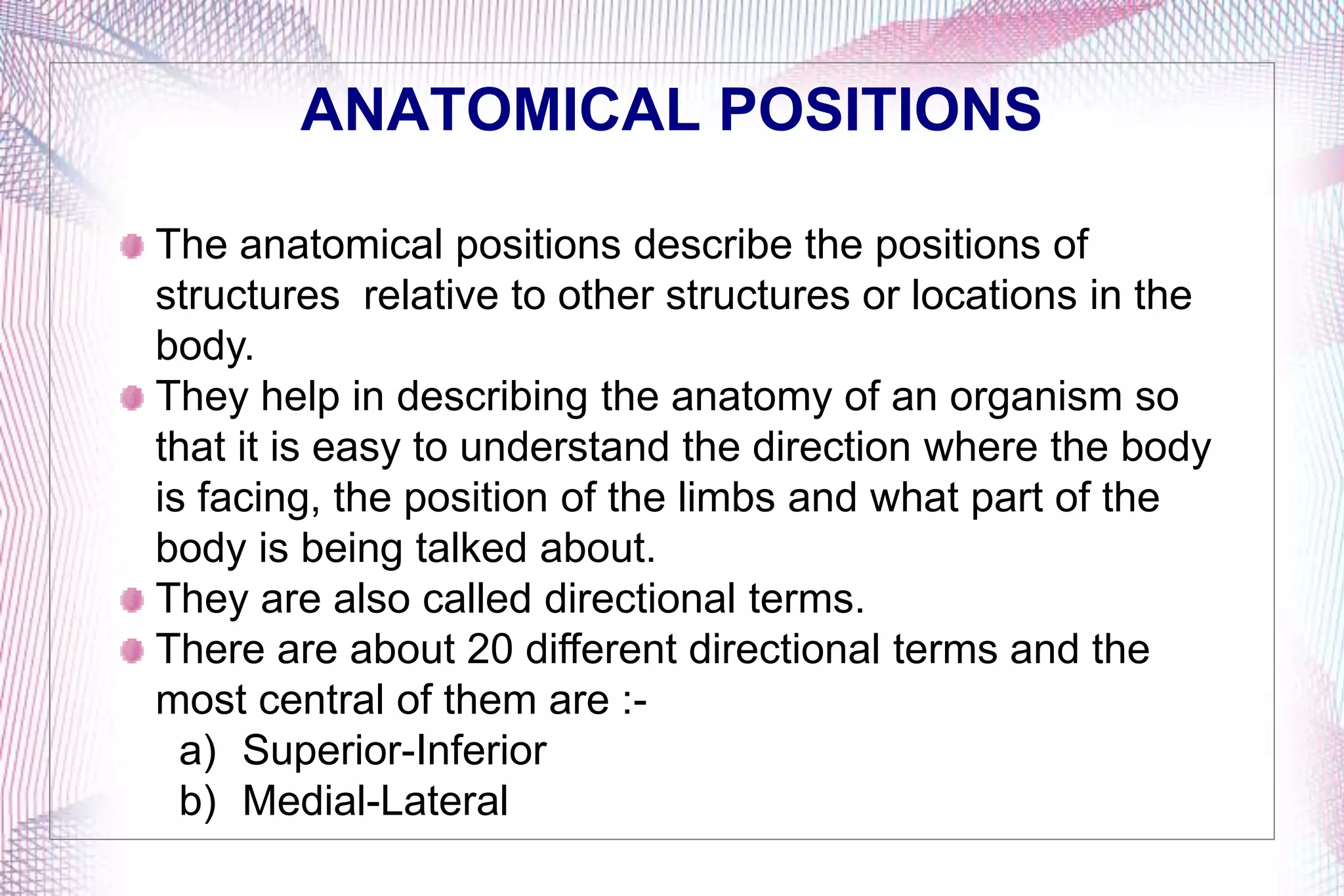 Anatomical planes and positions.pptx