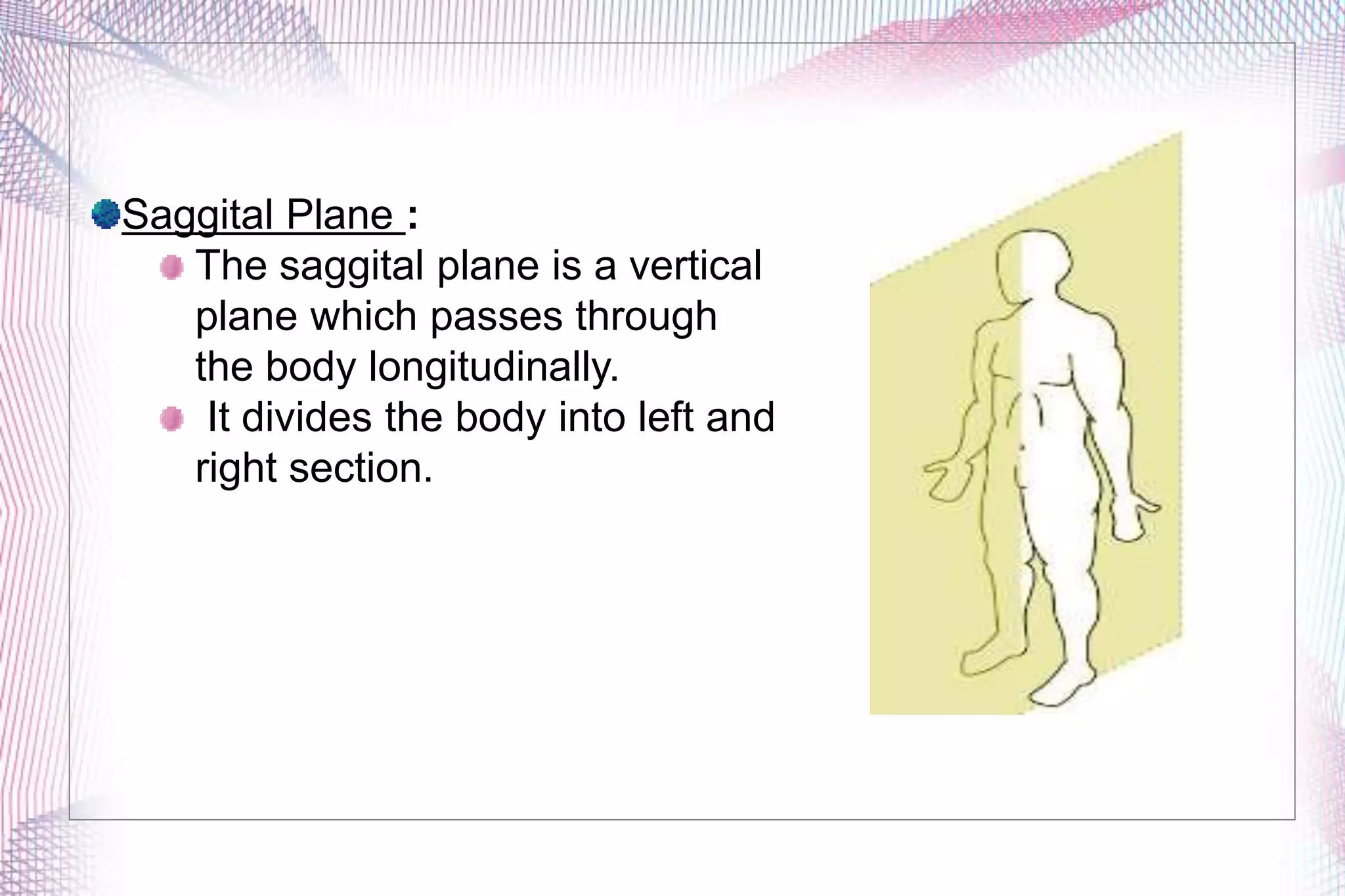 Anatomical planes and positions.pptx