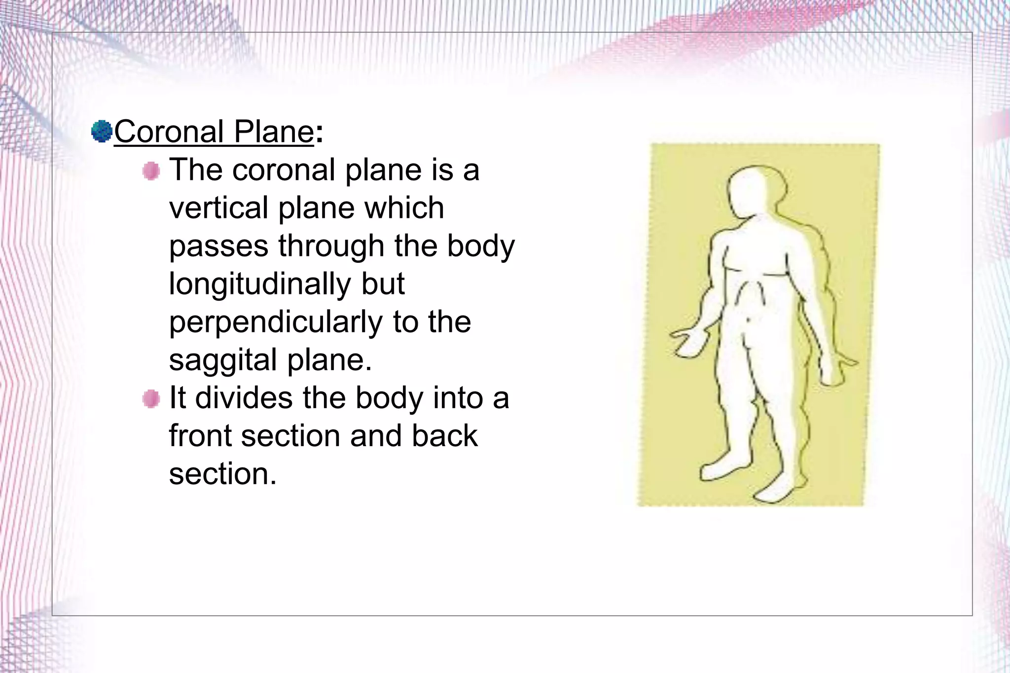 Anatomical planes and positions.pptx