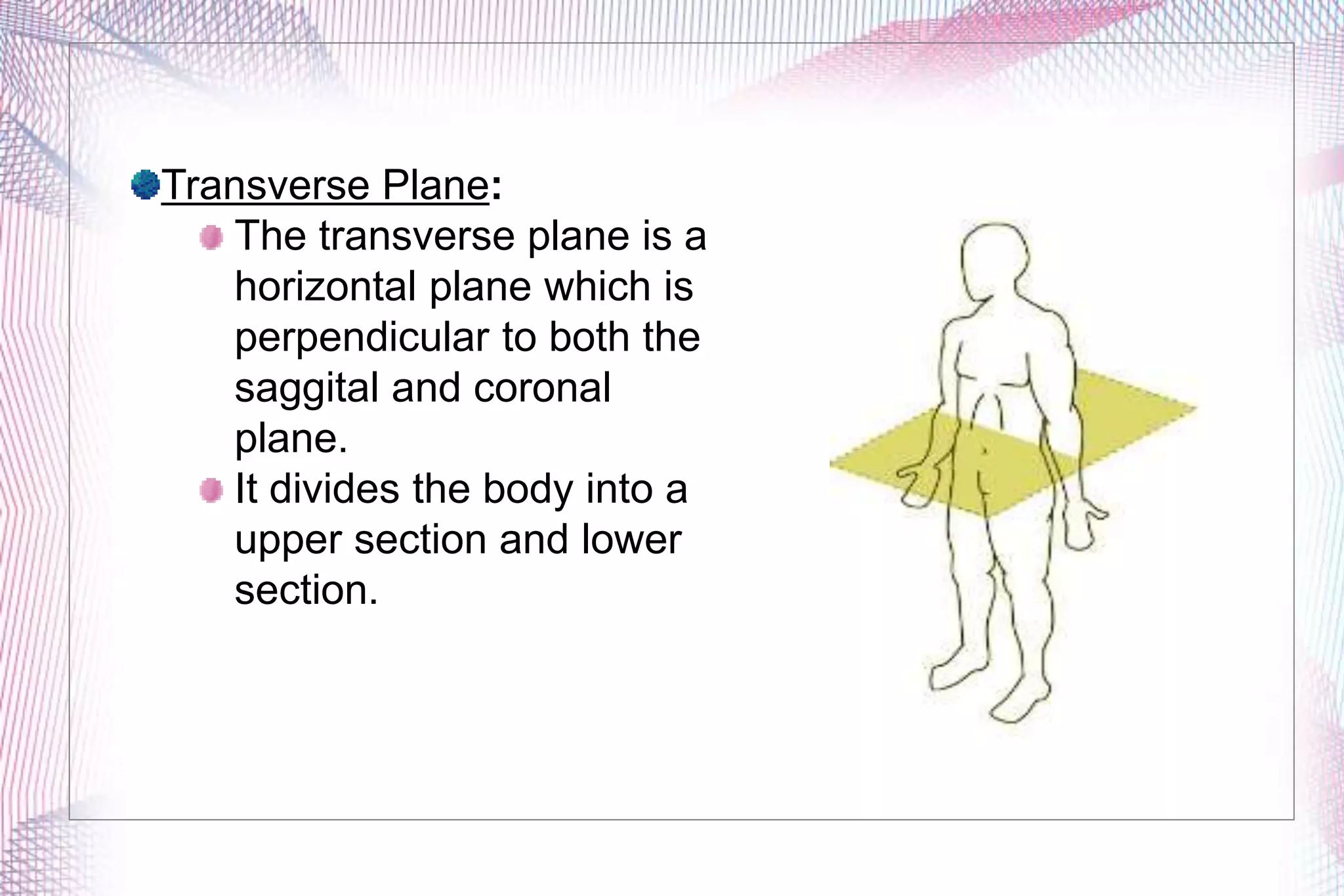 Anatomical planes and positions.pptx