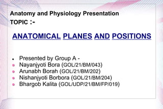 Anatomical planes and positions.pptx