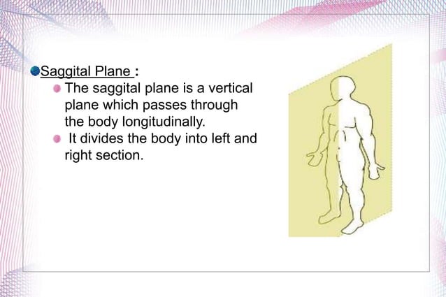 Anatomical planes and positions.pptx