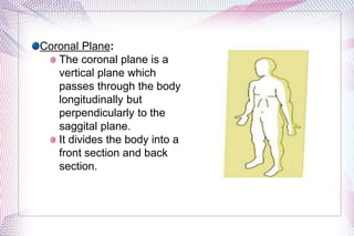 Anatomical planes and positions.pptx