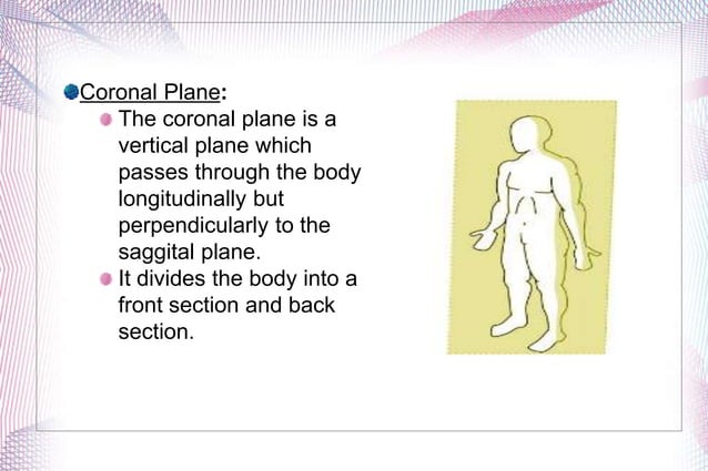 Anatomical planes and positions.pptx