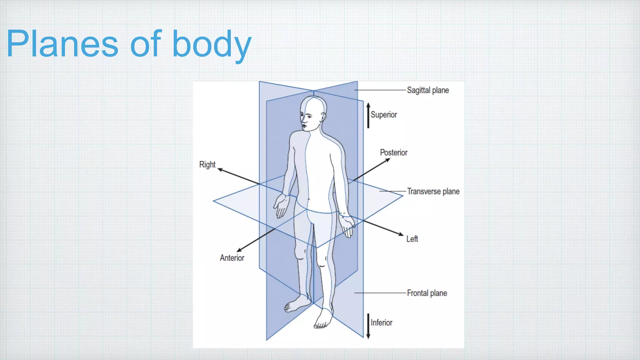 anatomical planes and positions ppt.pptx
